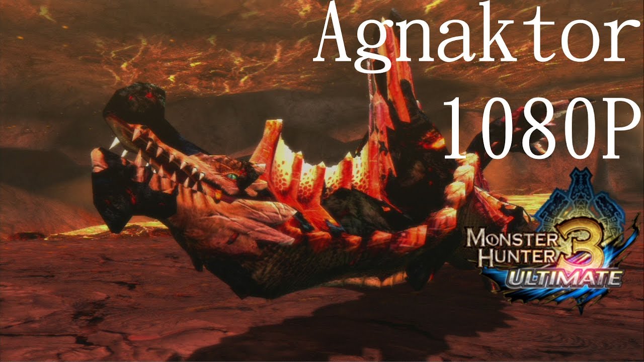 Monster Hunter 3 Ultimate - Nintendo WII U - Village Low Rank - Hunt ...