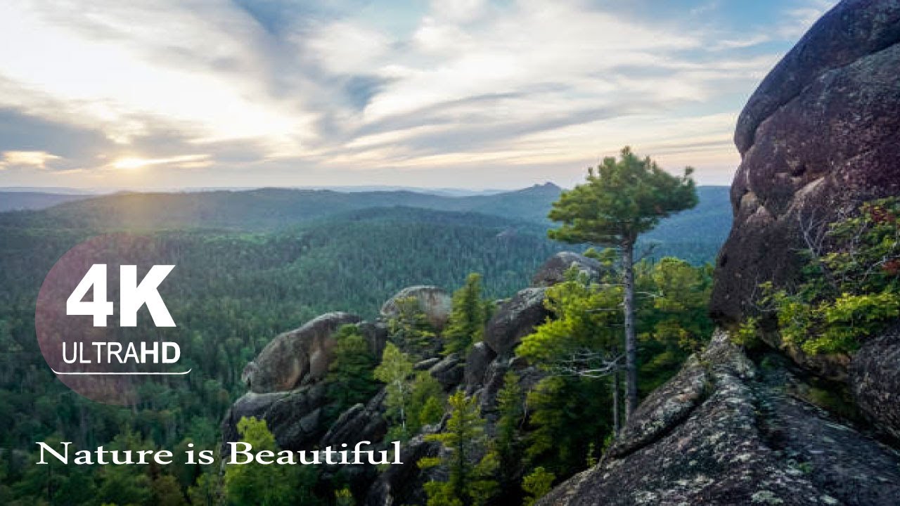 The beautiful secret to relaxation | 4k Relaxing Scenes ⍣ Nature is ...