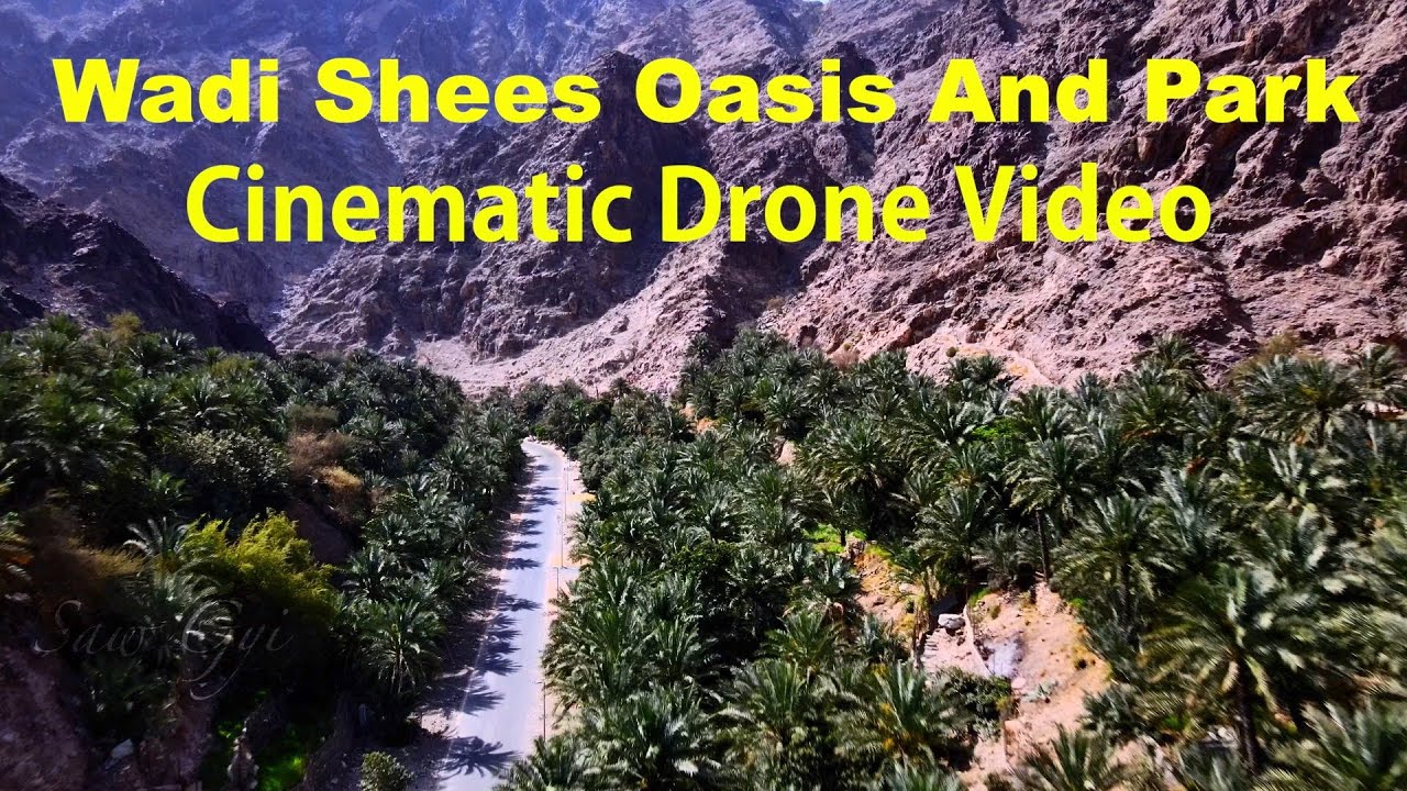 Wadi Shees Oasis And Park | Wadi Shis | Cinematic Drone Video Ras Al ...