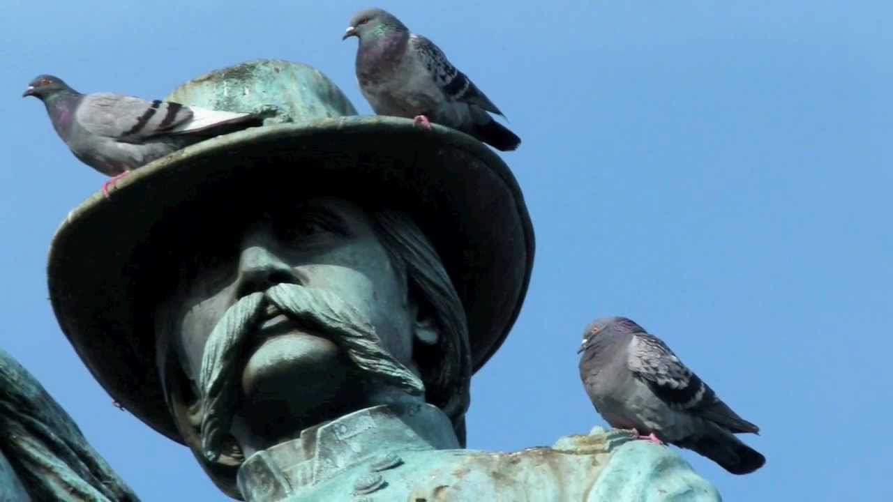 General John Logan Equestrian Statue - DC - YouTube