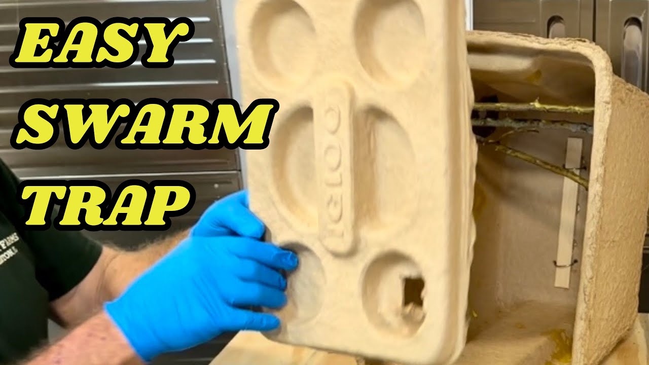 Incredibly Easy Swarm Trap: a DIY tutorial using a Biodegradable Cooler ...