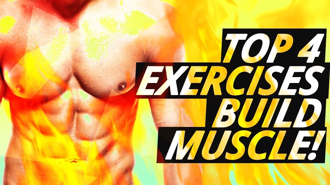 Top Exercises To Build Muscle (Best Muscle Building For INSANE BODY ...