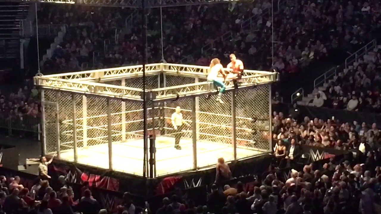 My Trip to WWE Live 12/29/16 part 5 Dolph Ziggler vs The Miz Steel Cage ...