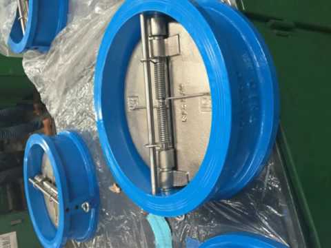 DN65 Dual Check Valve - YouTube