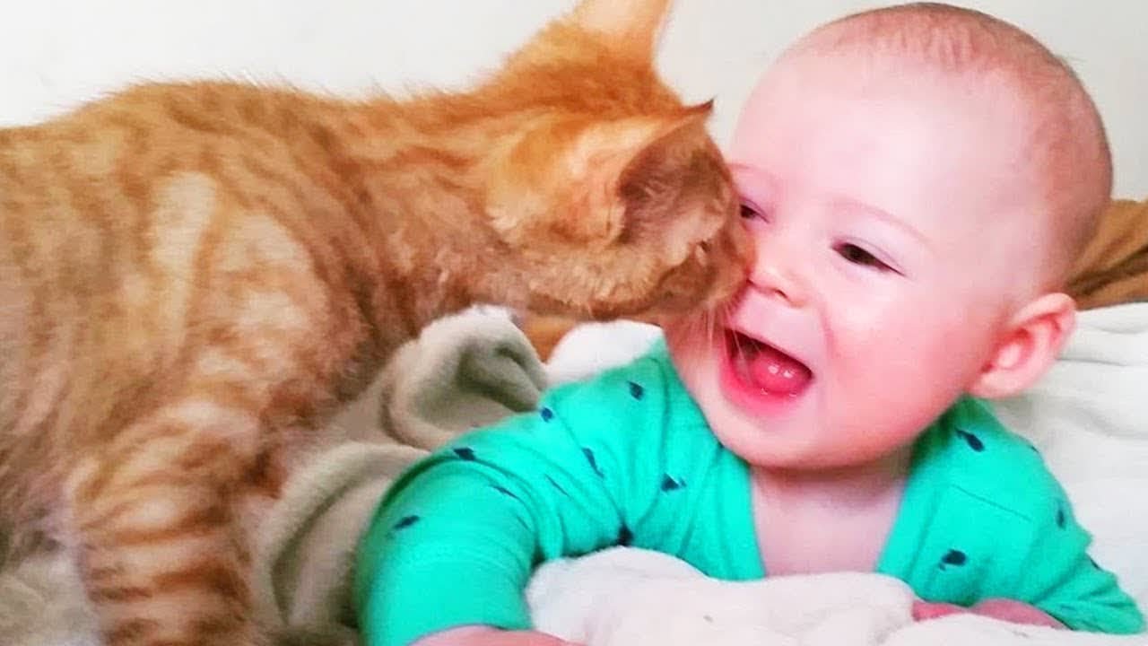 Adorable Babies Playing With Cats - Cute Baby Videos - YouTube
