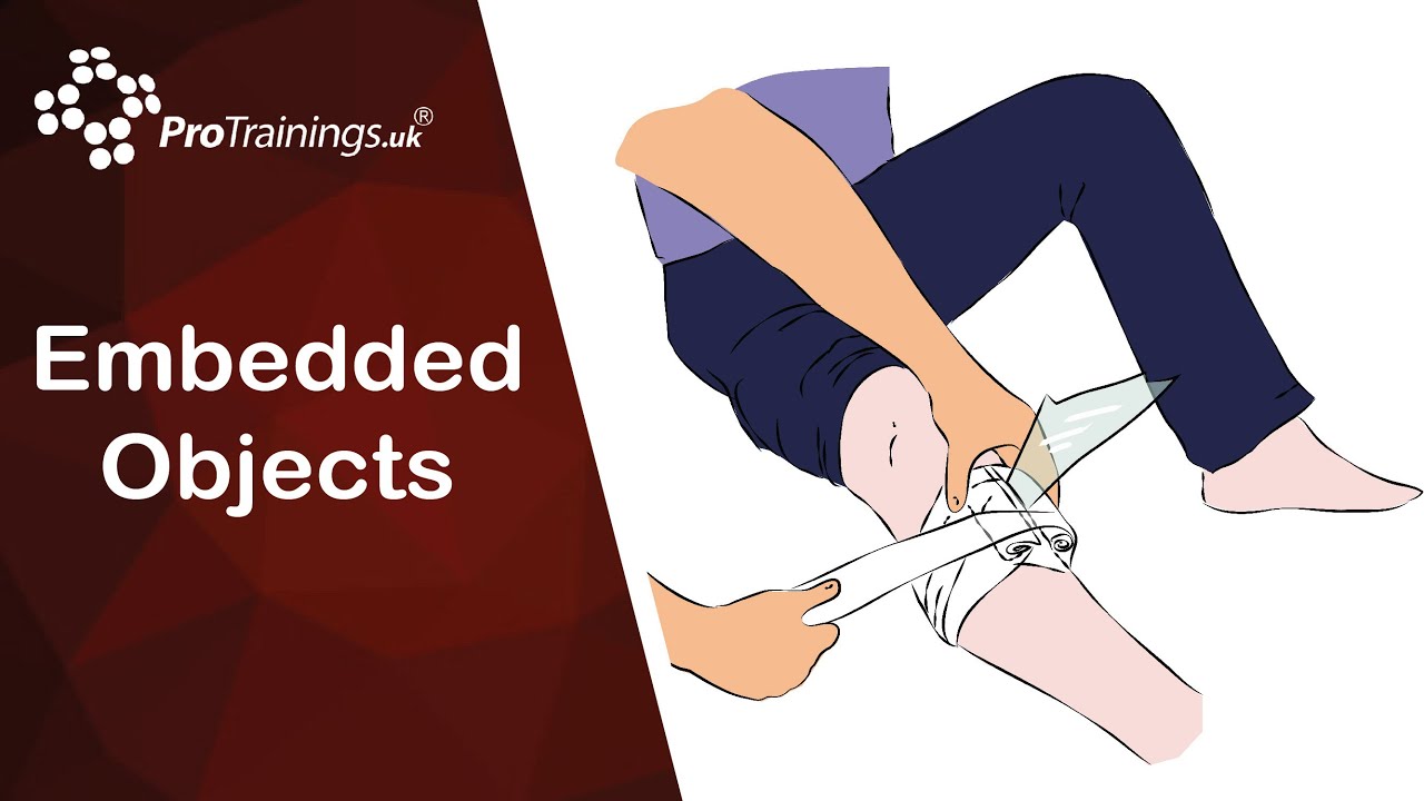 Embedded Objects - YouTube