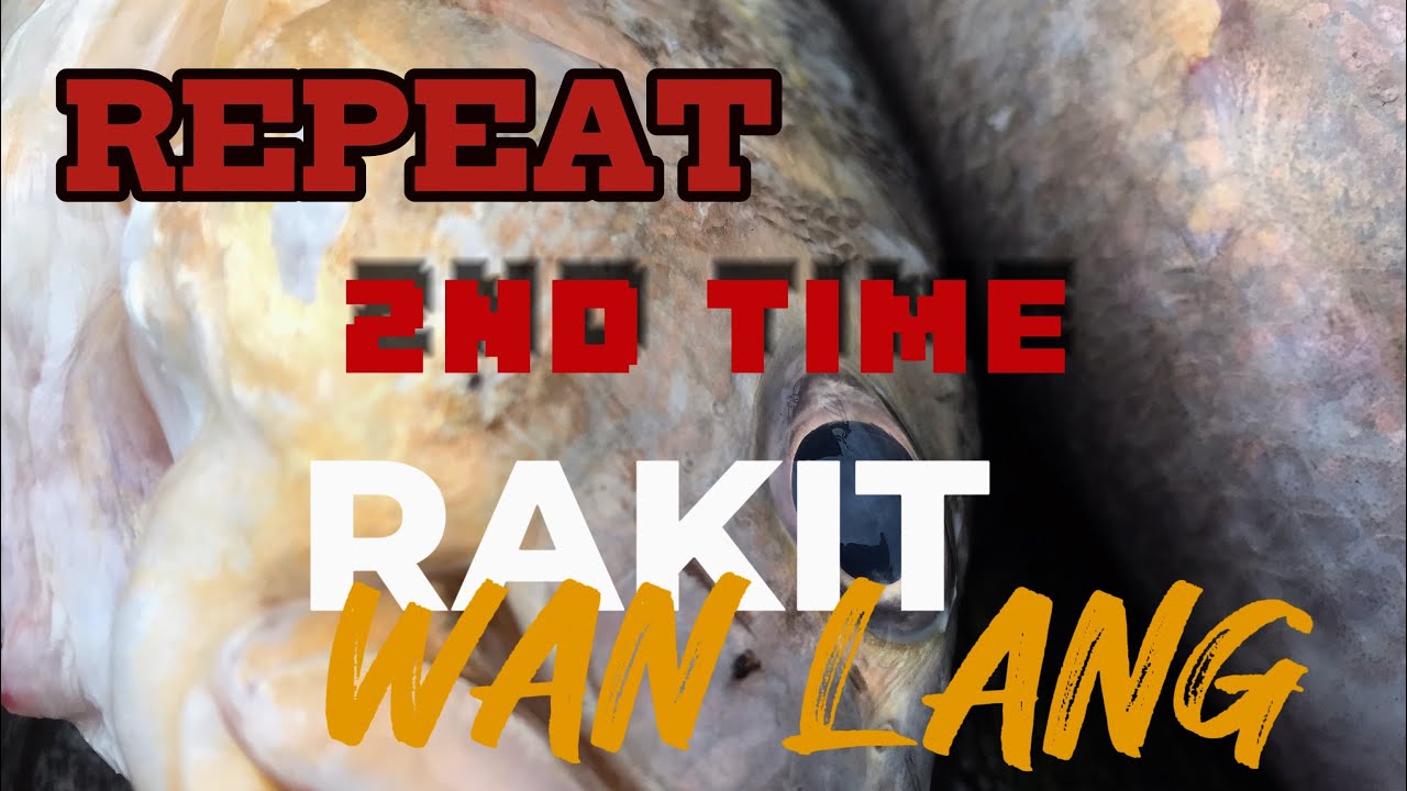 REPEAT RAKIT WAN LANG | KURAU BERGURAU | KUKUP PONTIAN | #SUFIANHUSSIN33 - YouTube