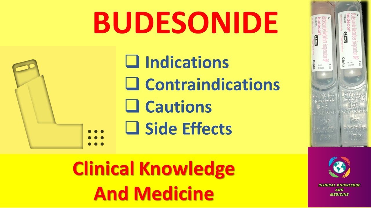 Budesonide Respule 1mg/ml - Availability, Indications ...