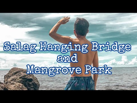 Salag Hanging Bridge and Mangrove Park, Tabogon, Cebu| Master Dandan ...