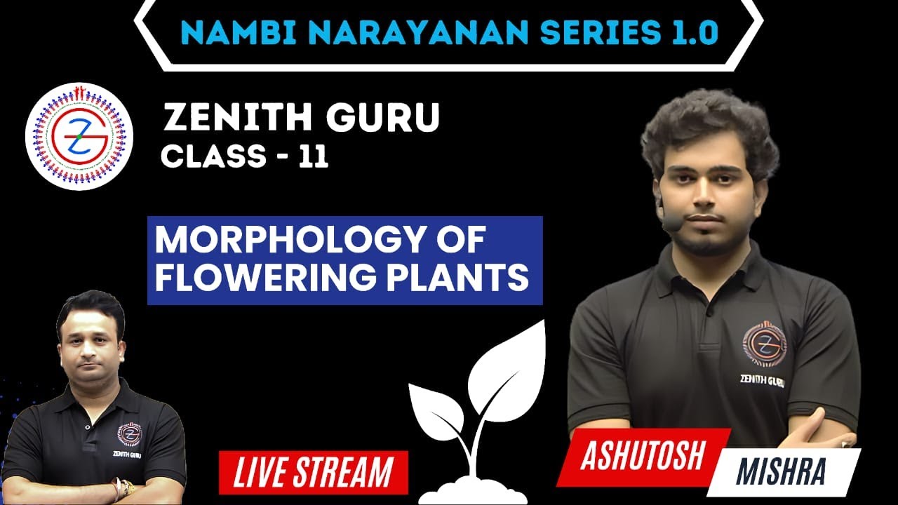Morphology of Flowering Plants | Class 11 | Chapter 5 | Lecture 9 | By Ashutosh Sir #zenithguru ...