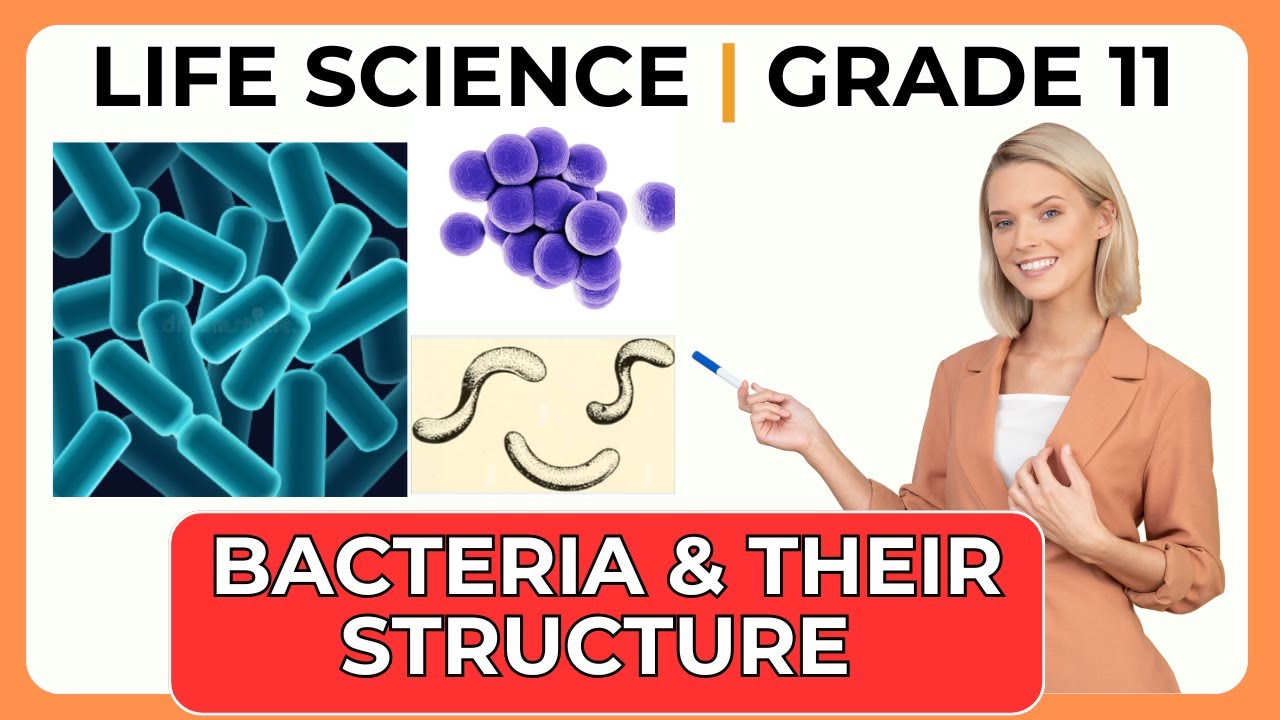 🔬 Life Science Grade 11 | Bacteria & Their Structure Explained! - YouTube