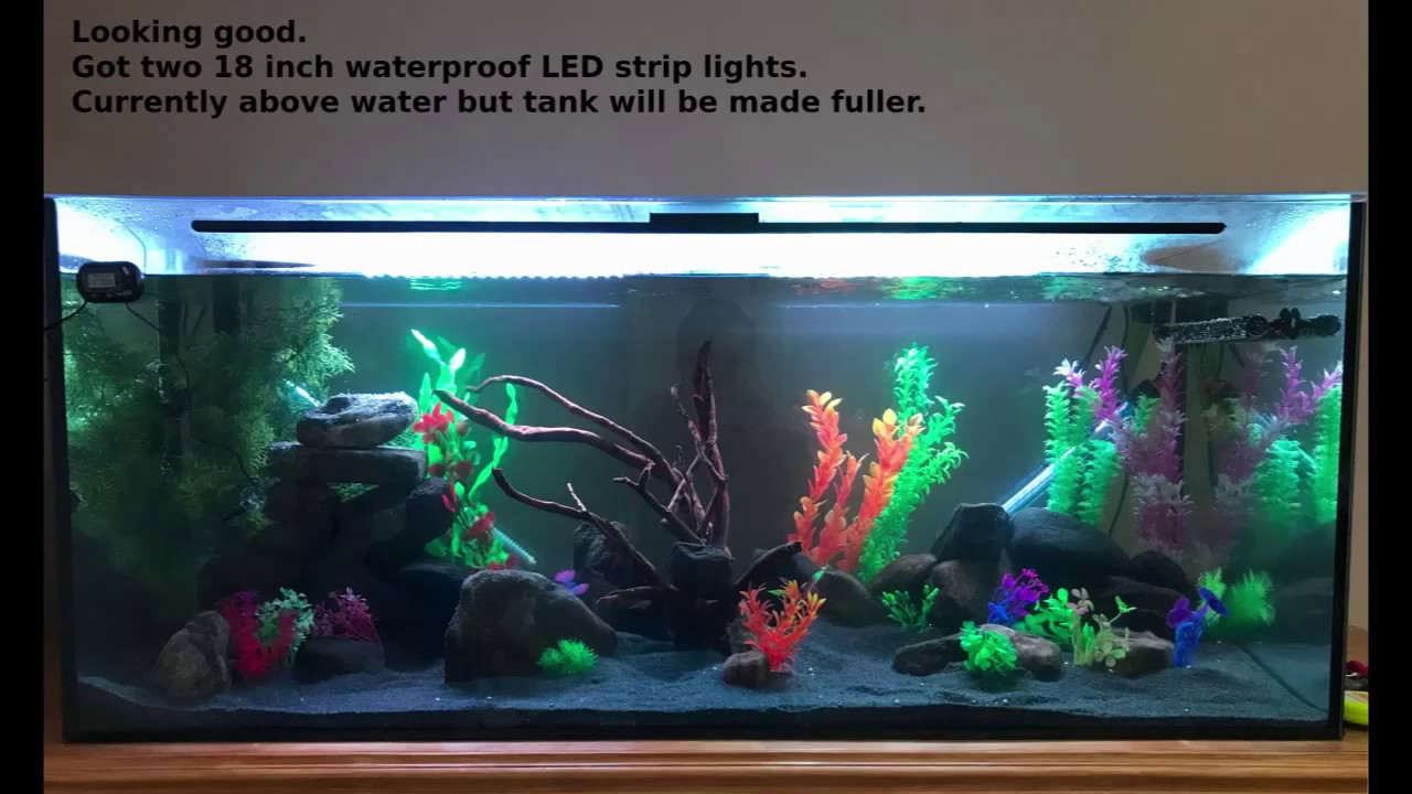 New 300L/90G Fish Tank setup - YouTube