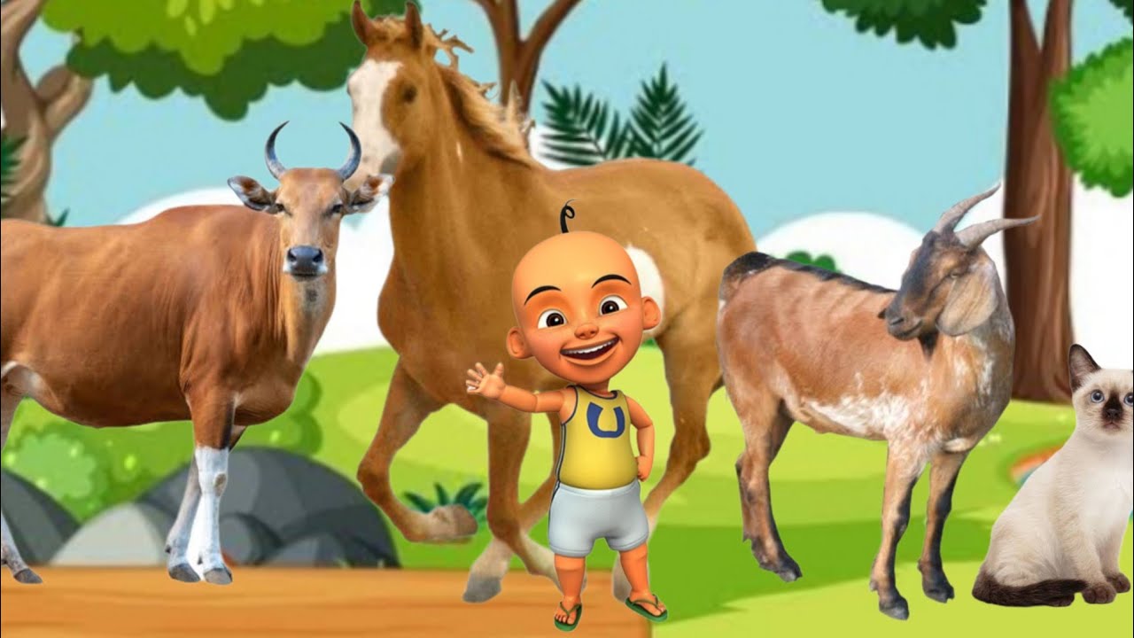 tebak animasi gambar || sapi kucing kuda kambing , upin ipin - YouTube