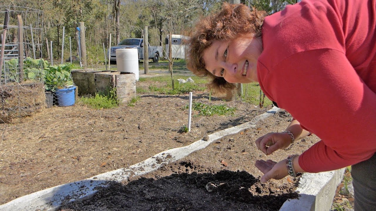 Growing Vegetables From Heirloom Seed - YouTube
