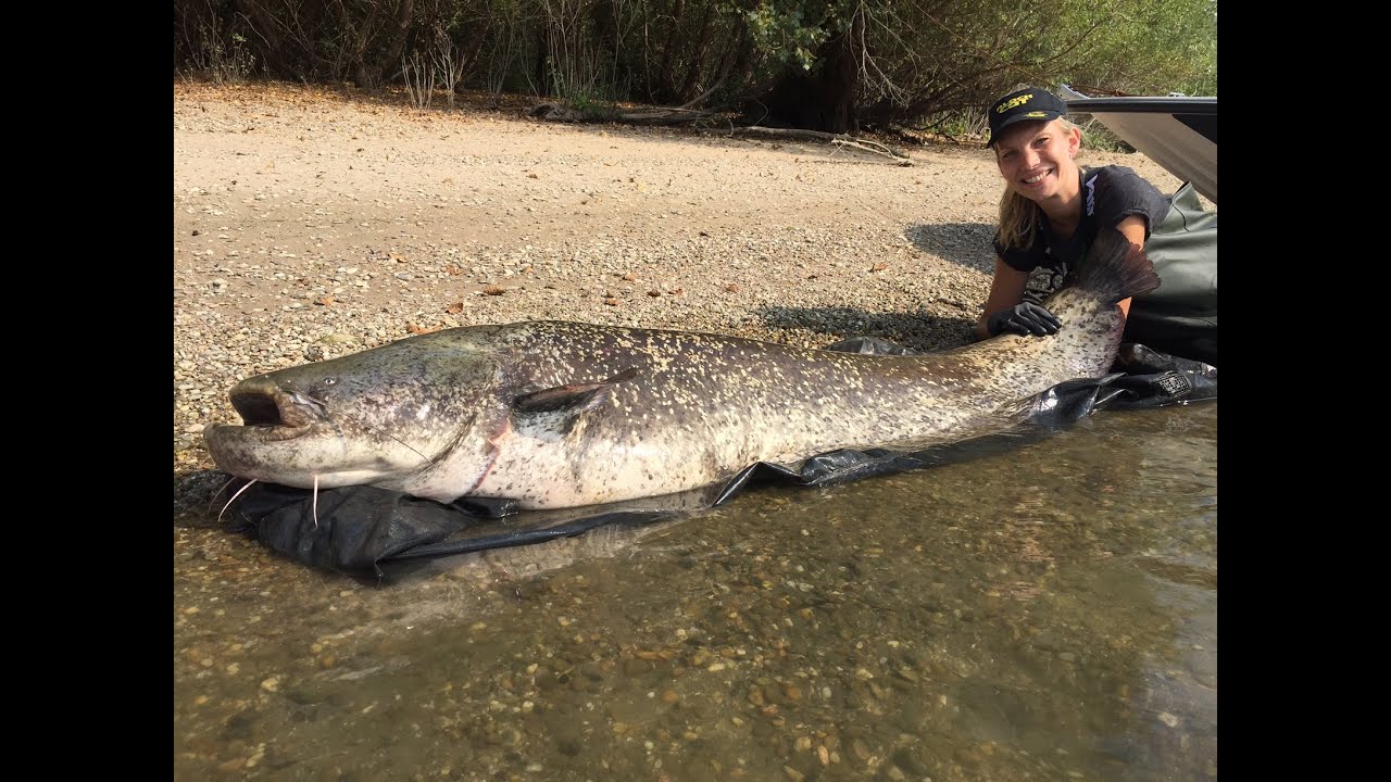 Girl vs Catfish "Frauen-Power Aktiv Angeltour auf Hecht, Barsch und ...