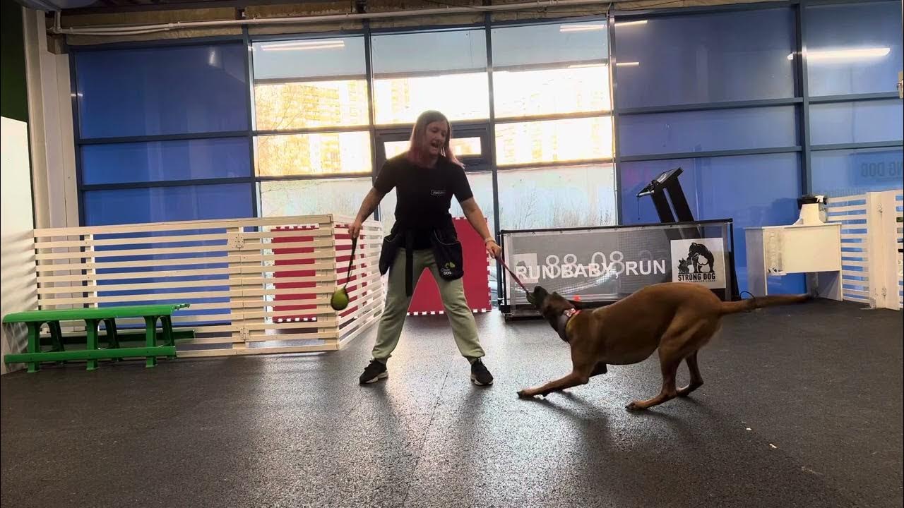 Дай. Две игрушки 2.0 - YouTube