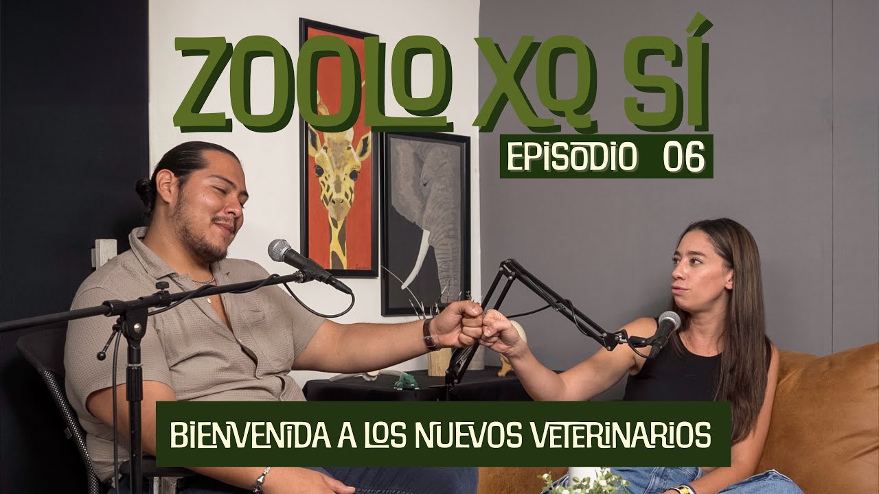 BIENVENIDA a los NUEVOS veterinarios | Zoolo XQ Sí | Episodio #06 - YouTube