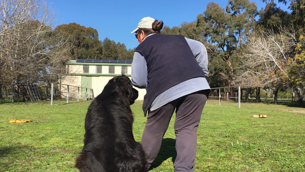 5 Urshie 4:6 unequal Handler error GOAD - YouTube