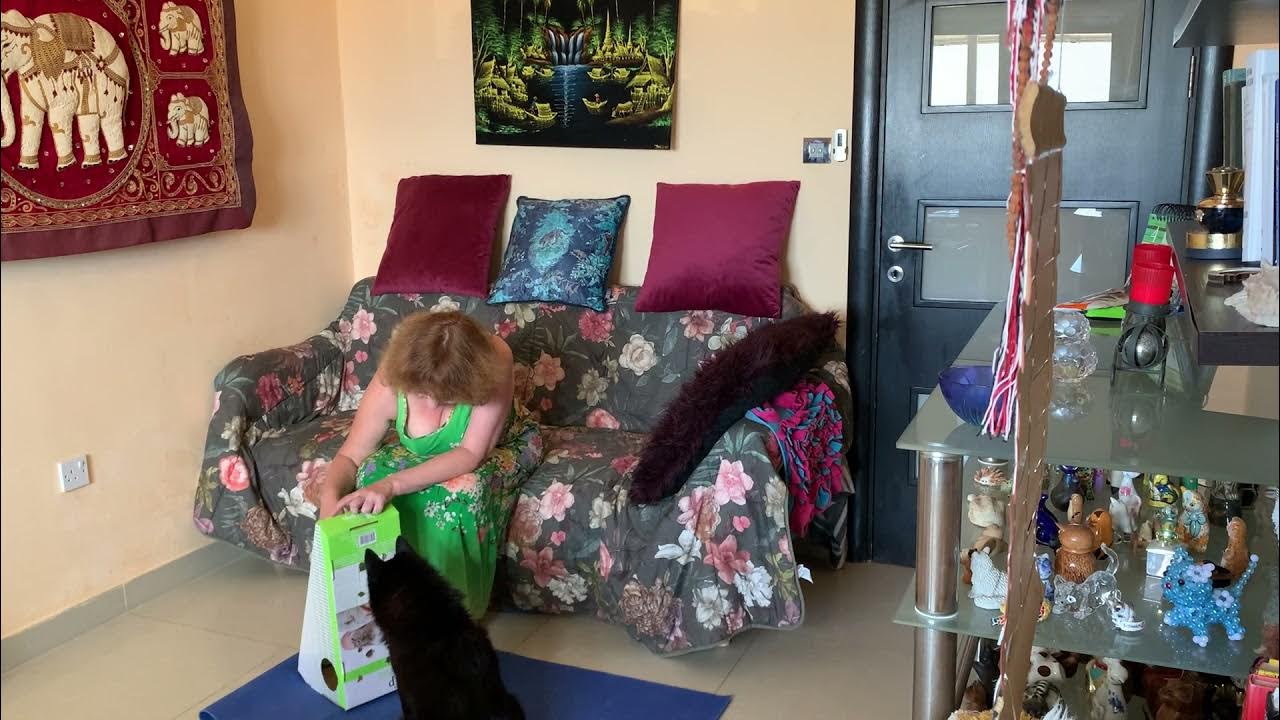 Игра "Поймай крота!" - YouTube