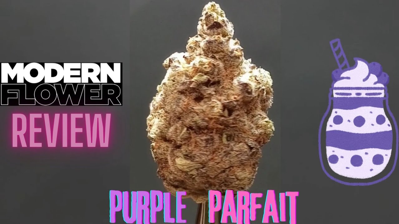 Modern Flower Purple Parfait Flower Review - YouTube