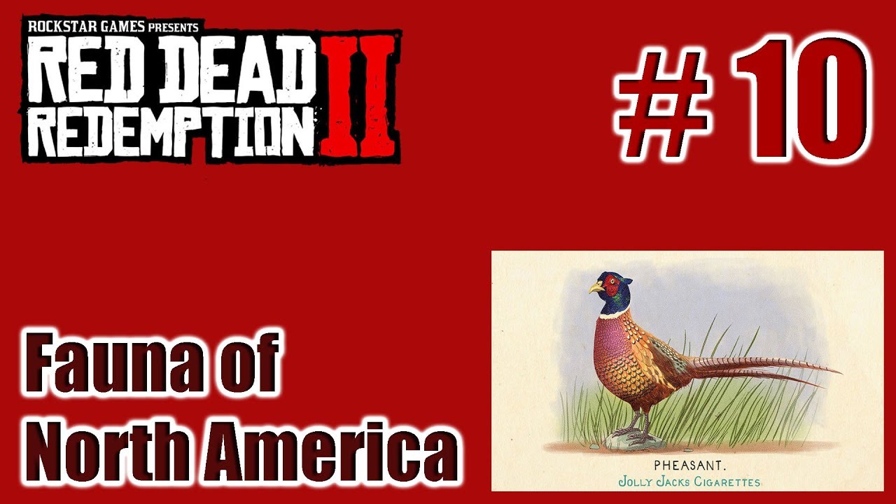 RDR2 - Fauna of North America – 10 Pheasant - Cigarette Card – Türkçe ...