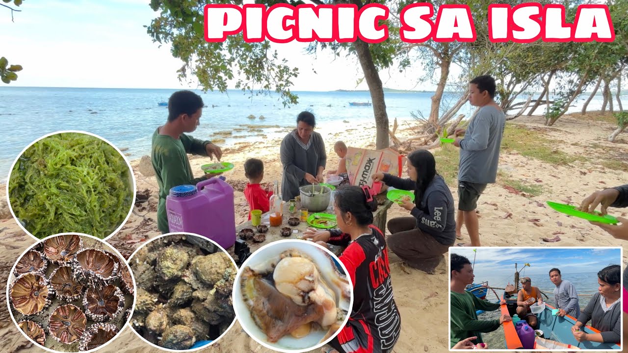 MASAYANG PICNIC AT KAINAN SA ISLA | NANGUHA NG BALULANG SEAWEED AT SEA ...