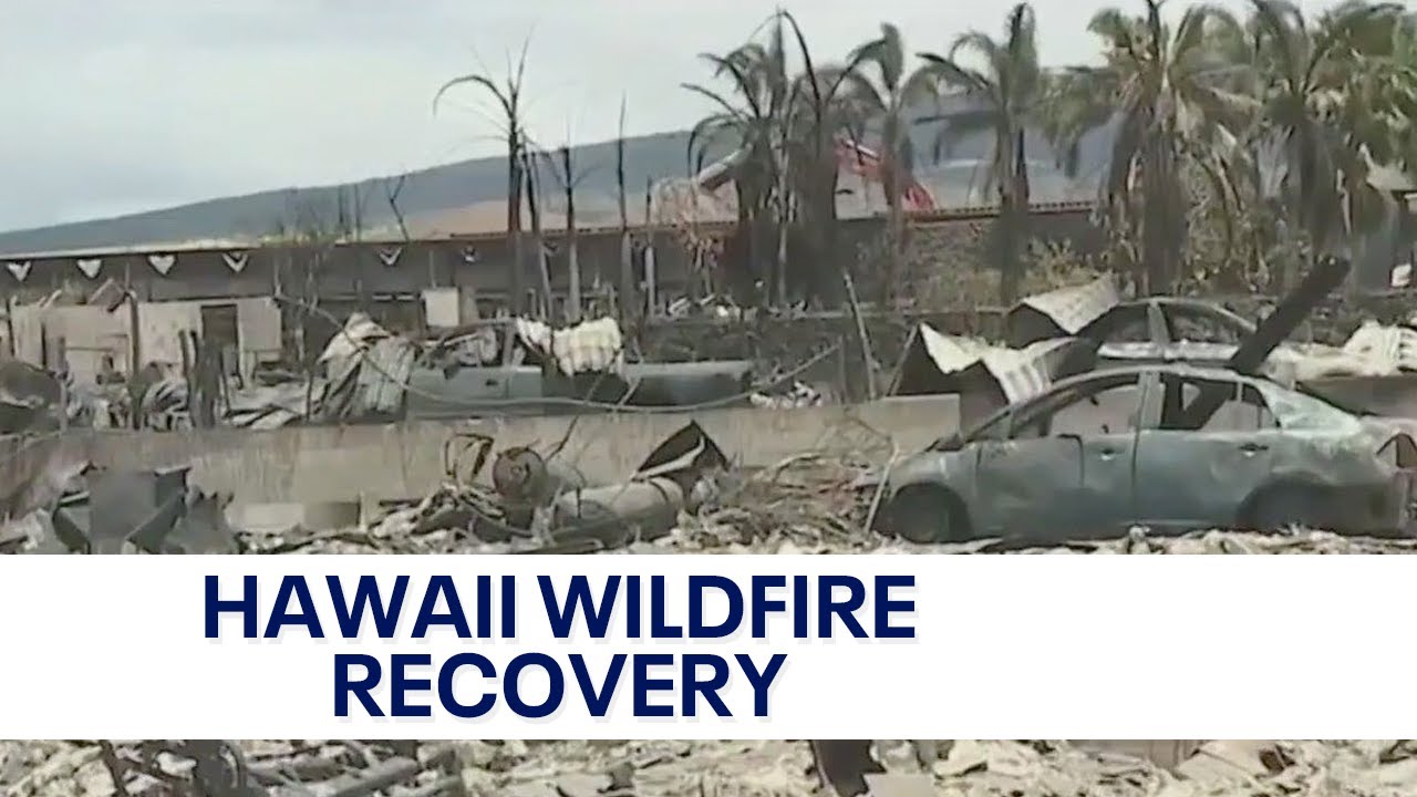 Hawaii wildfire recovery continues - YouTube