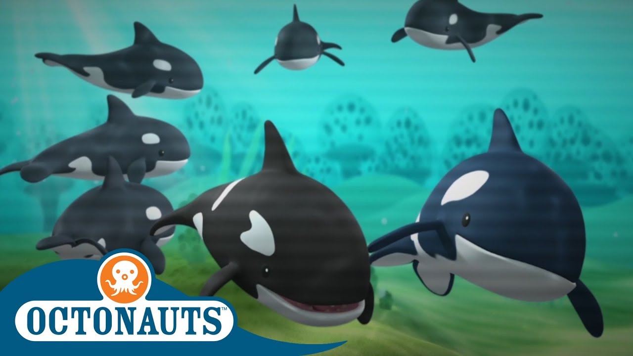 Octonauts - Song of the Whales | Songs of the Deep | Cartoons for Kids ...