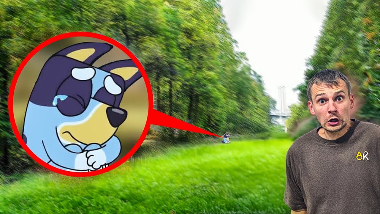 La mystérieuse disparition de Bluey et Bingo Une aventure avec Bluey ...