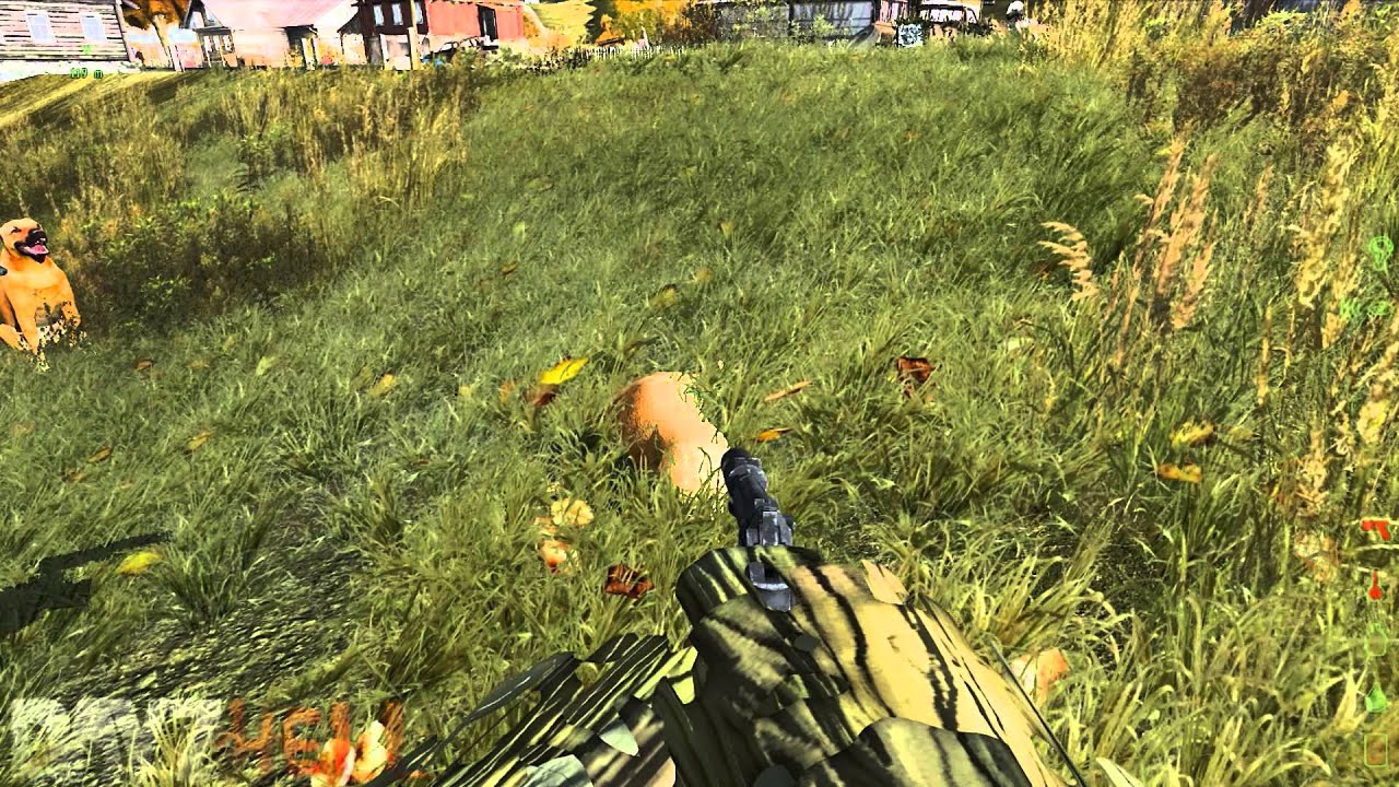 How to Get Dogs and use Dogs in DayZ | DayZHell.com - YouTube