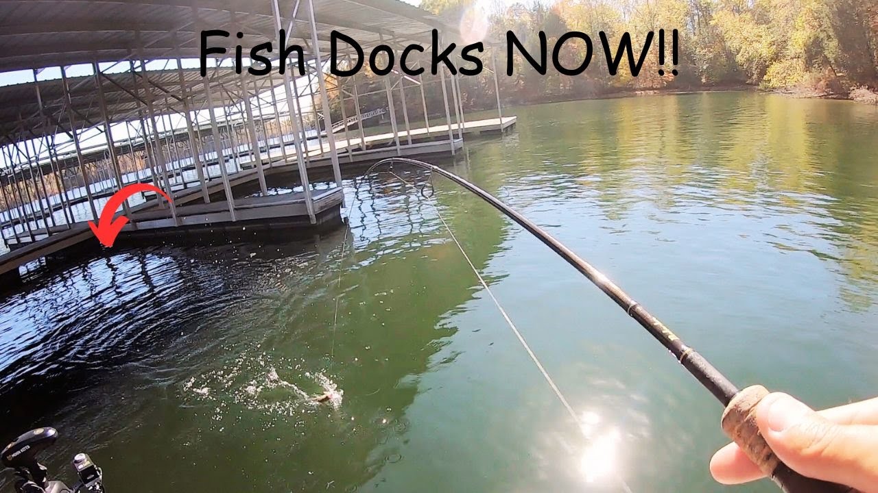 Fish Docks NOW! For BIG Fall CRAPPIE!! (Dock Fishing Tips!) - YouTube