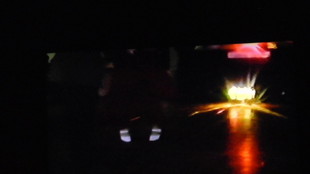 Abbey Plotkin & Oscar - YouTube