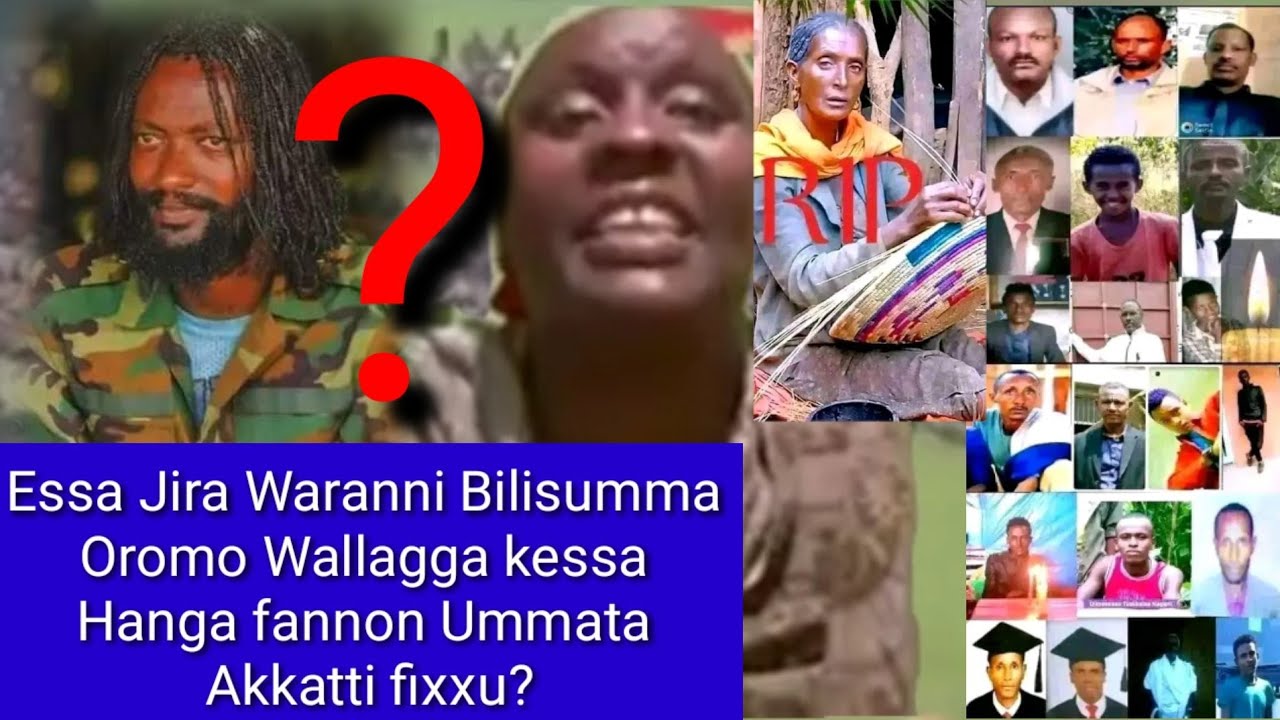 Essa Jiraa Ajajan #WBO #Marron Hanga Fannon Ummata Oromo Akkatti Fixxu ...
