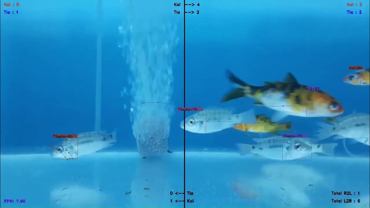 AQUACULTURE SENSOR MONITORING FOR FISH CARE - YouTube