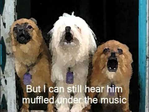 Billy Collins- Another reason why I don't keep a gun in the house - YouTube