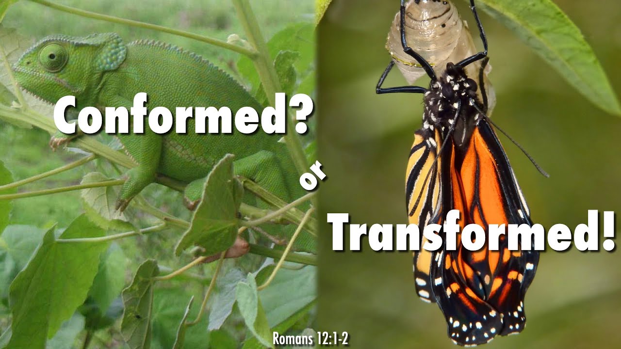 Conformed? or Transformed! - YouTube