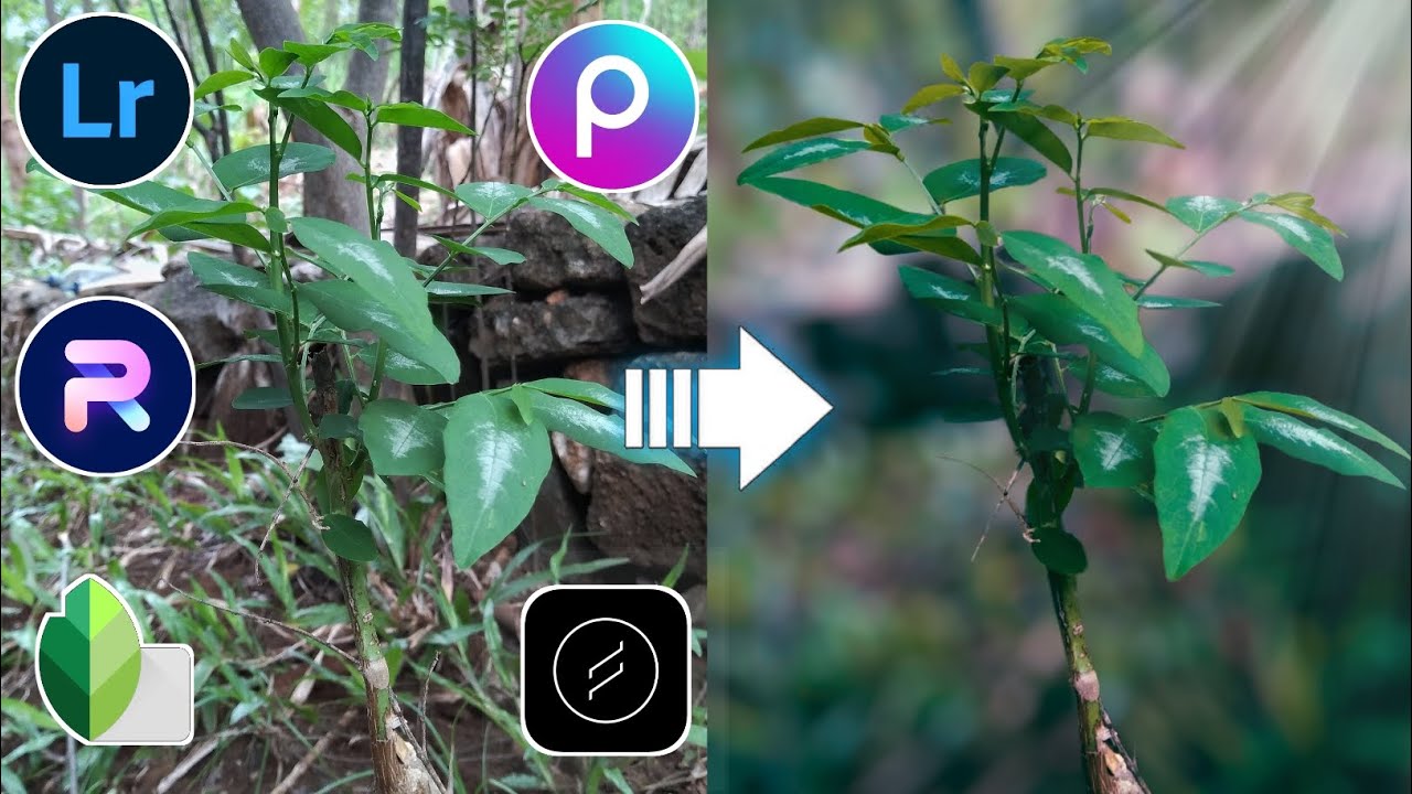 Background blur photo editing tutorial | Best Mobile Photography Idea ...