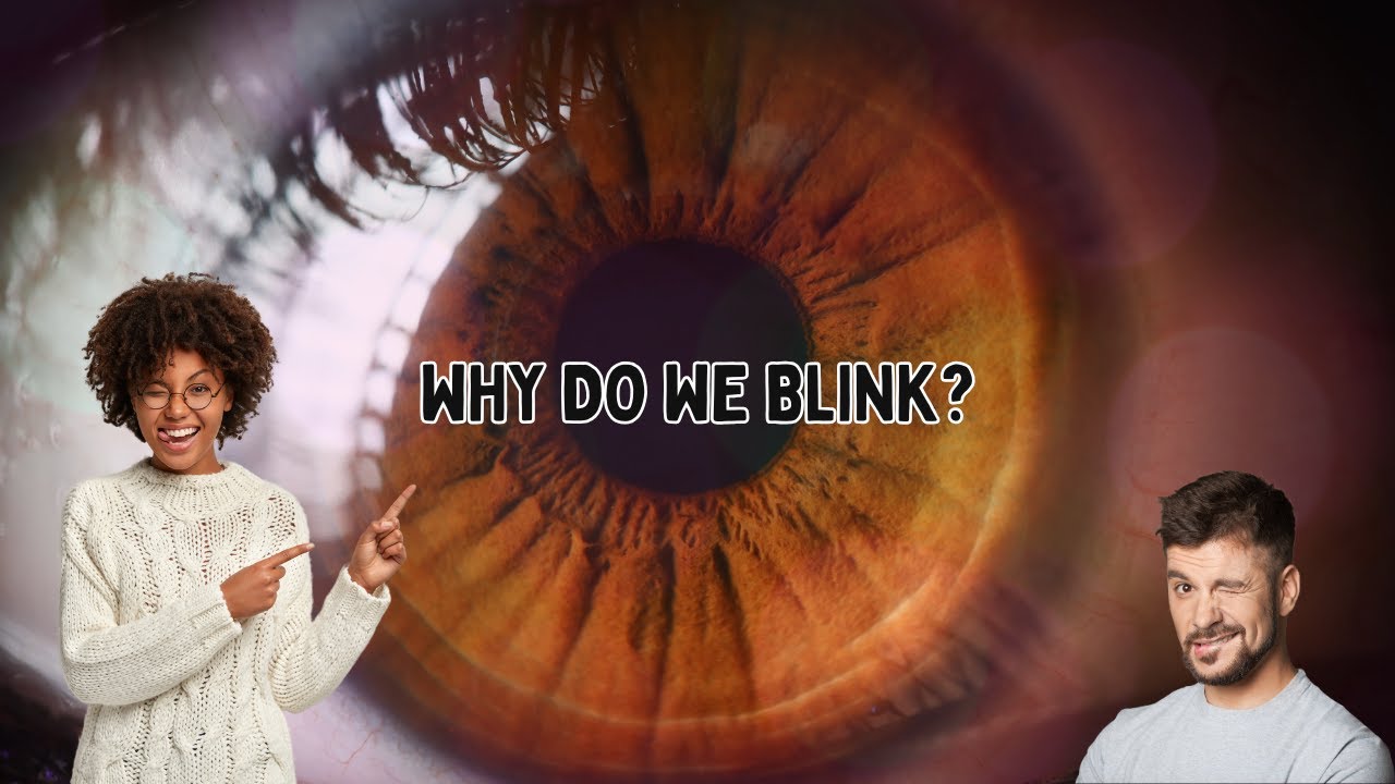 Why Do We Blink? - YouTube