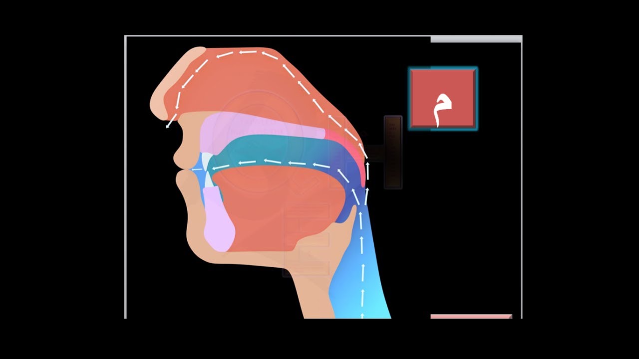 23 THE ARTICULATION POINTS OF THE LETTER MEEM ميم Makharij - YouTube