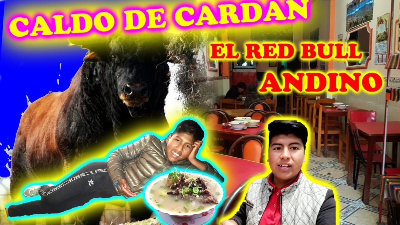 GASTRONOMÍA BOLIVIANA//PROBANDO el CALDO de CARDAN//Comimos el MIEMBRO ...