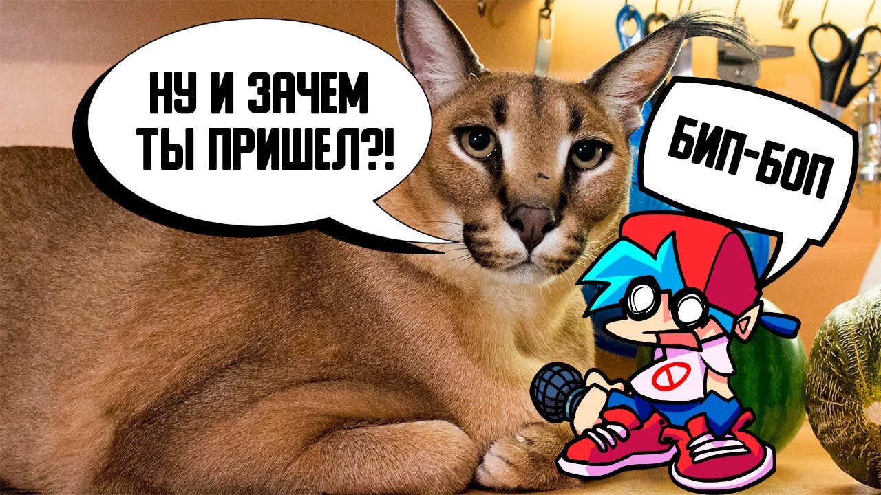 ШЛЕПА БИГ ФЛОППА ПРОТИВ БОЙФРЕНДА | Friday Night Funkin' | Friday Night ...