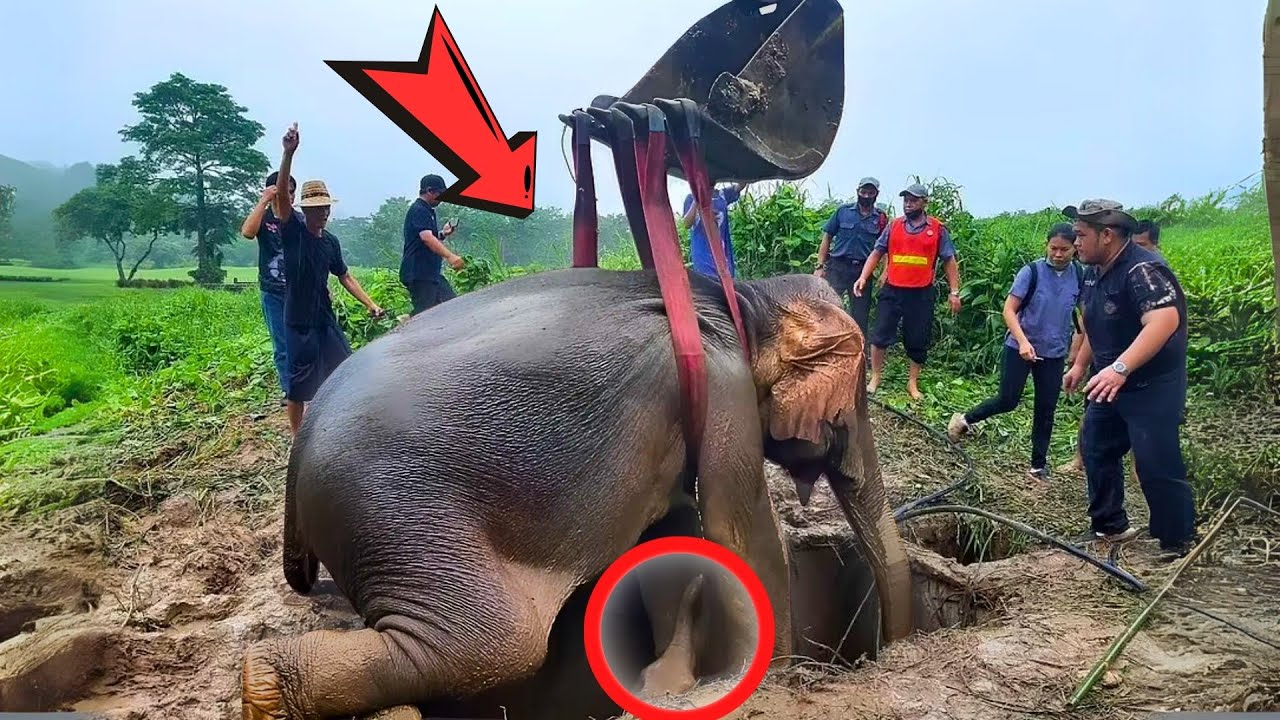 When he fell into the pit, his heart stopped, then Something Incredible ...