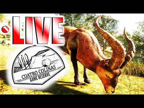 Cuatro Colinas Release Day! - YouTube