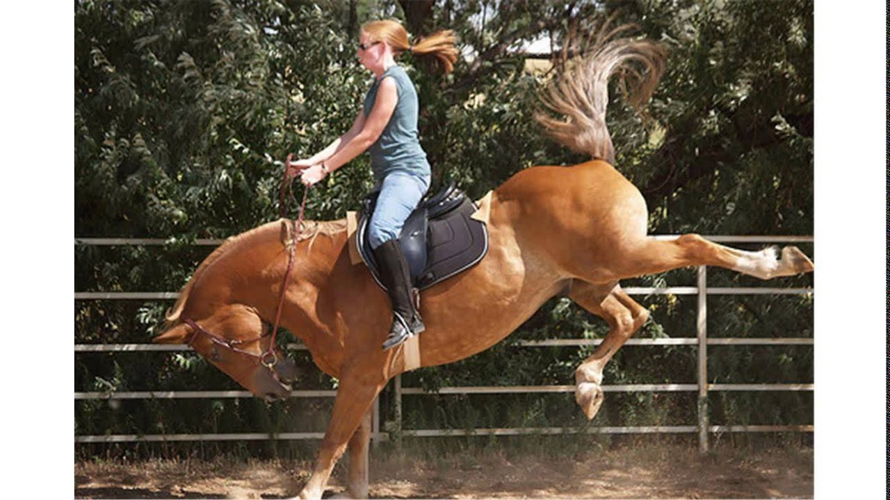 horse riding bucking - YouTube