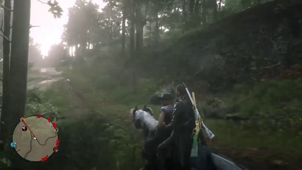 RDR2 Veteran Collectors Edition - YouTube