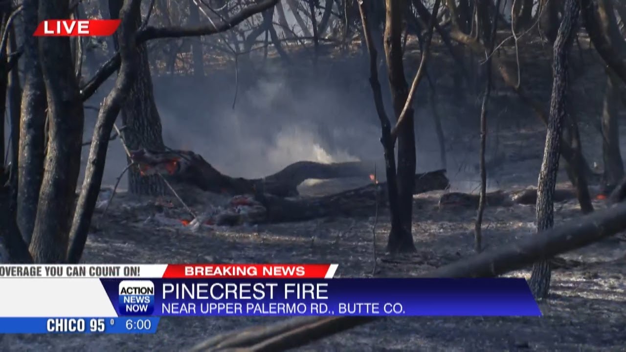 Pinecrest Fire holding at 10 acres, evacuations remain in place - YouTube