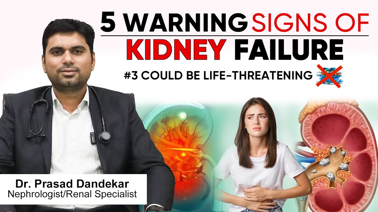 How To Make Your Kidneys Stronger?| Warning Signs of Kidney Disease ...