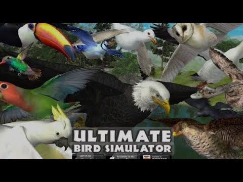 Becoming an eagle!!. Ultimate Bird simulator part 1. - YouTube