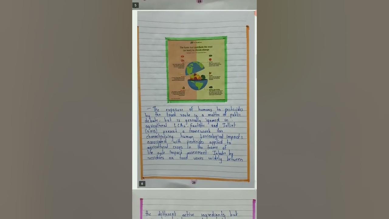 12th HSC board Environmental EVS project (arts/commerce/science)how to do evs project? - YouTube