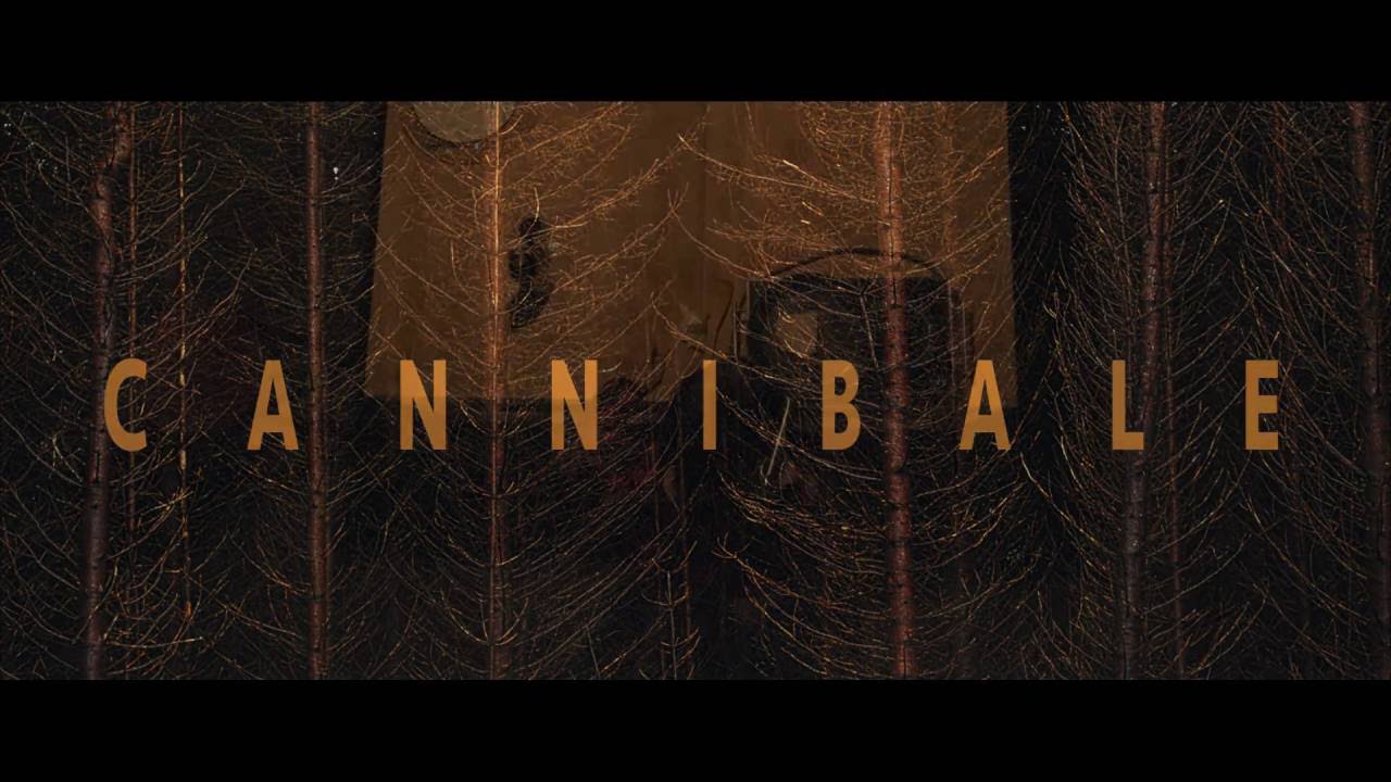 CANNIBALE teaser spectacle Son# 2 Musique - YouTube